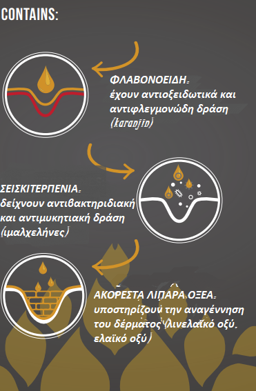 BiodermGold SPEY ΠΛΗΓΩΝ ME ΒΑΣΗ ΒΟΤΑΝΑ ΦΥΤ. ΕΚΧΥΛΙΣΜΑΤΑ , ΑΙΘΕΡΙΑ ΕΛΑΙΑ ...